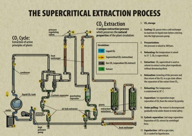 Supercritical CO2 Extraction Machine – The Ultimate Buying Guide