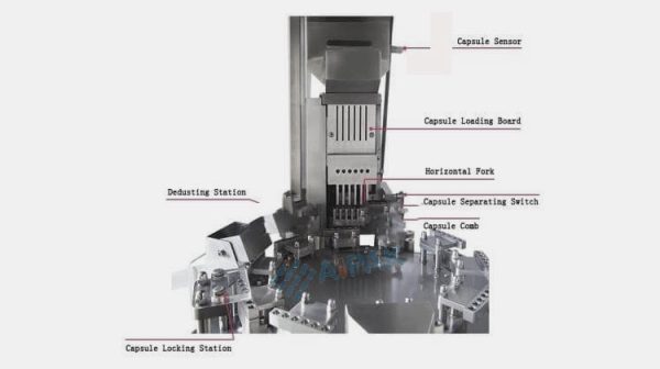 Capsule Powder Filling Machine: The Complete Buying Guide in 2025