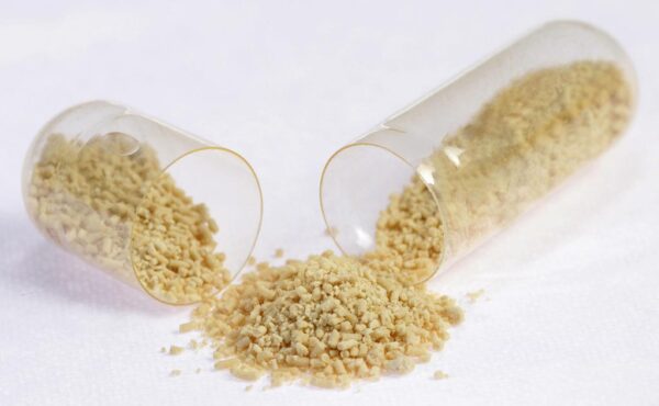 Capsule Powder Filling Machine: The Complete Buying Guide in 2025