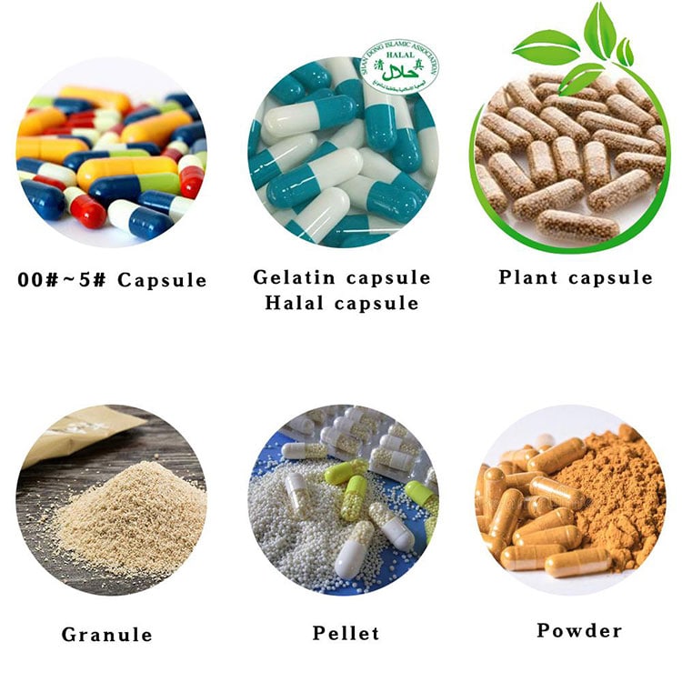 Capsule Filler Purchase Guide in 2021 – AIPAK