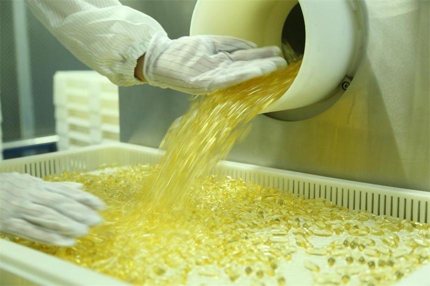 Softgel Encapsulation Machine:The Complete Buying Guide in 2023 – AIPAK