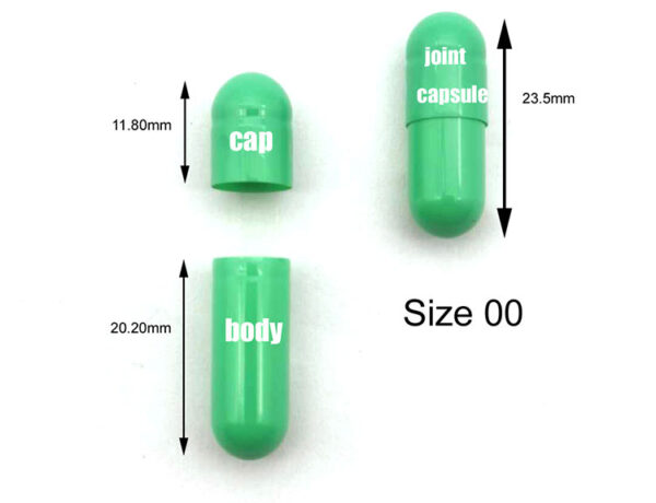 All You Need To Know About Capsule – AIPAK