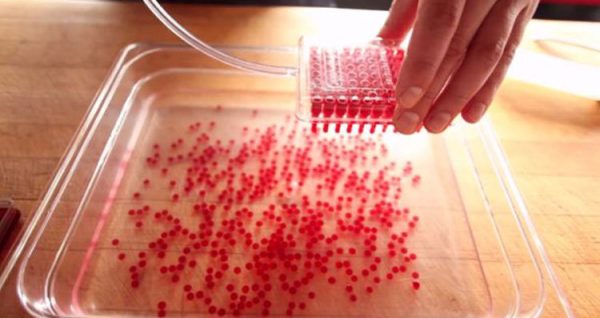 Popping Boba: The Complete FAQ Guide In 2025 – AIPAK