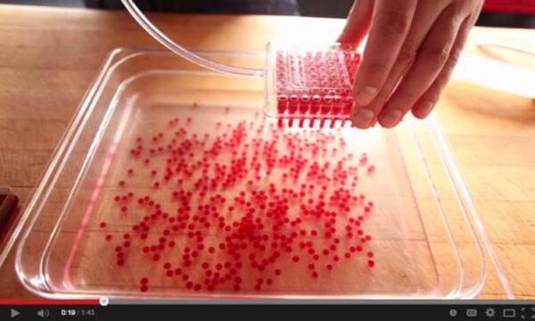 Popping Boba: The Complete FAQ Guide In 2024 – AIPAK