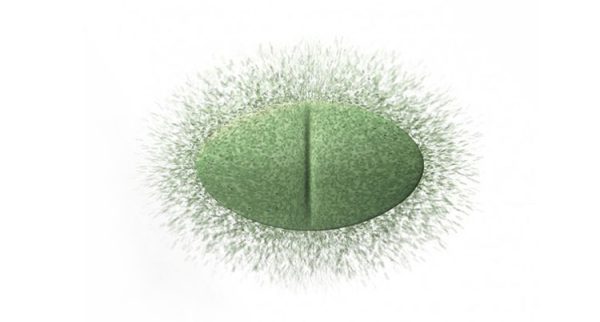 Wet Granulation VS Dry Granulation – AIPAK