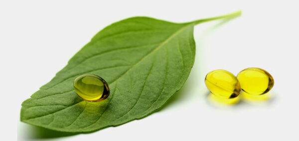 Softgel Size Chart – AIPAK