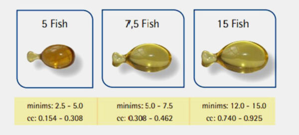 Softgel Size Chart – AIPAK