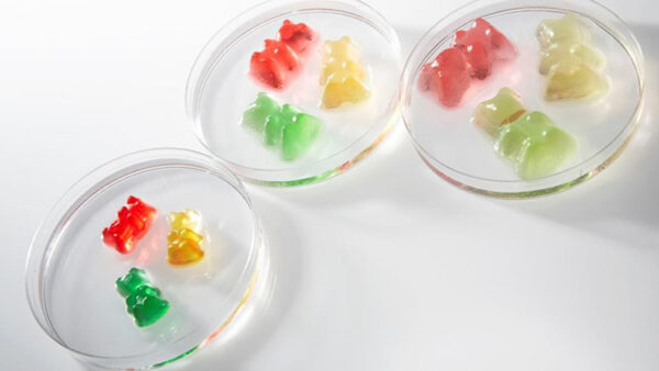 Gummy Bear Osmosis Experiment – AIPAK