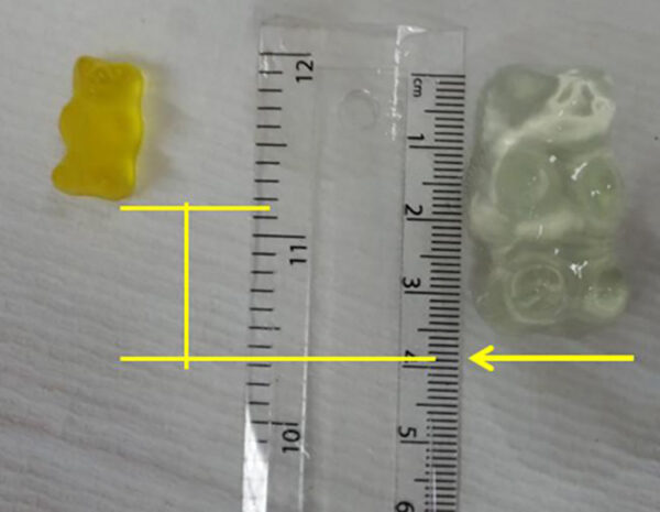 Gummy Bear Osmosis Experiment – AIPAK