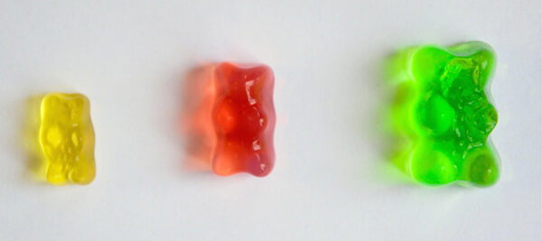 Gummy Bear Osmosis Experiment – AIPAK