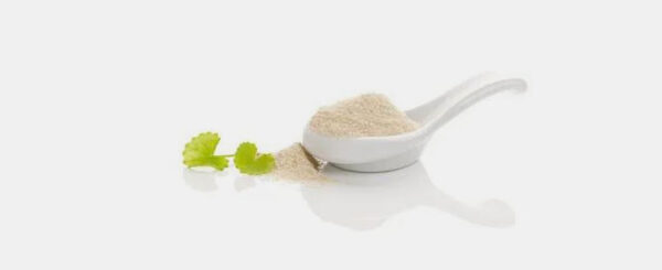 Pharmaceutical Powders- In-depth Understanding & Characterisation – AIPAK