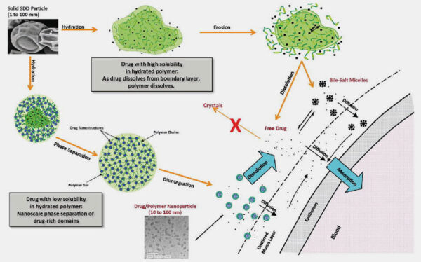 How Is Spray Drying Applied In The Pharmaceutical Industry? – AIPAK