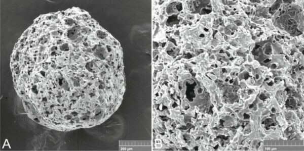 The Science Behind Formulation Of Pharmaceutical Pellets – AIPAK