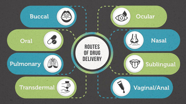 Everything You Need to Know About Drug Delivery System – AIPAK