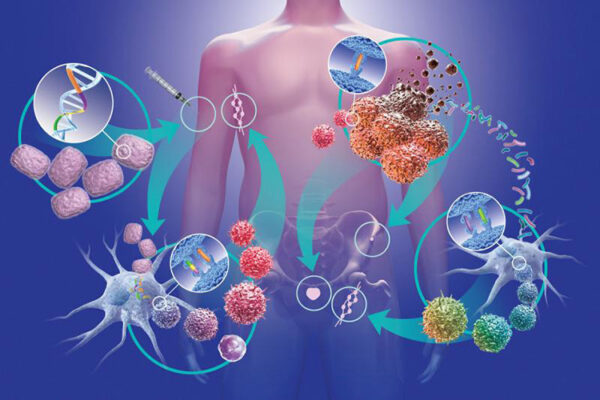 Everything You Need to Know About Drug Delivery System – AIPAK