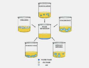 Pharmaceutical Emulsion- Deepen Your Knowledge! – AIPAK