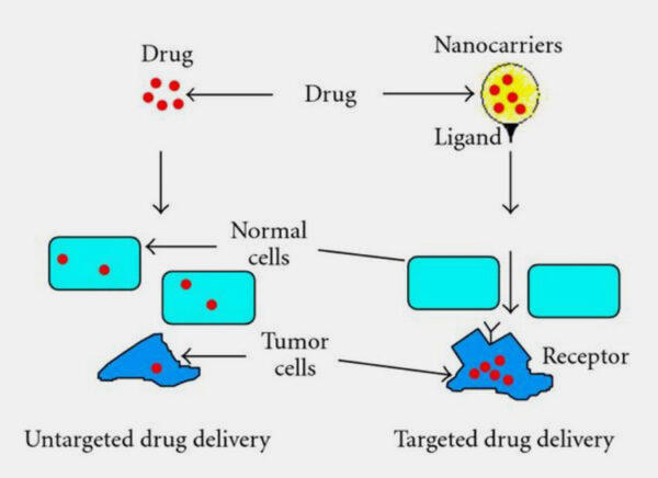 Everything You Need to Know About Drug Delivery System – AIPAK