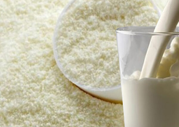 Milk Powder: The Complete FAQ Guide in 2025 – AIPAK