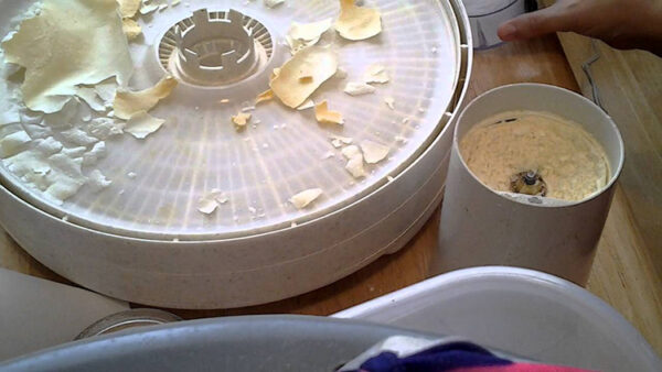 Milk Powder: The Complete FAQ Guide in 2023 – AIPAK