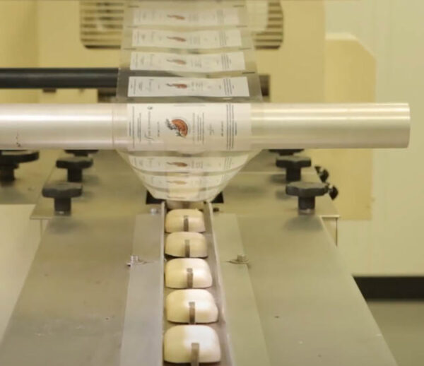 HFFS Machine: The Complete FAQ Guide in 2025 – AIPAK