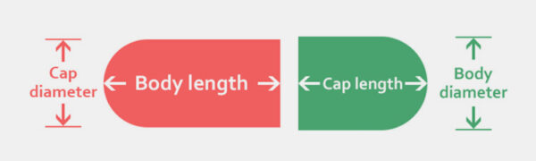 Pill Size Chart – AIPAK
