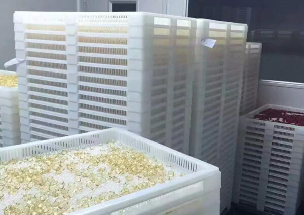 Gummy Filling Machine: The Complete FAQ Guide In 2025 – AIPAK