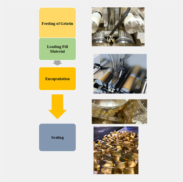 Pill Making Machine: The Complete FAQ Guide In 2025 – AIPAK
