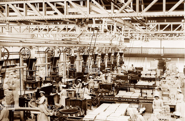 Types Of Packaging Machines – AIPAK