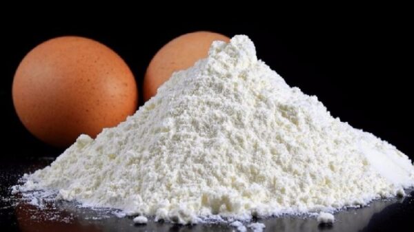 Egg Powder Machine: The Complete Buying Guide in 2025 – AIPAK