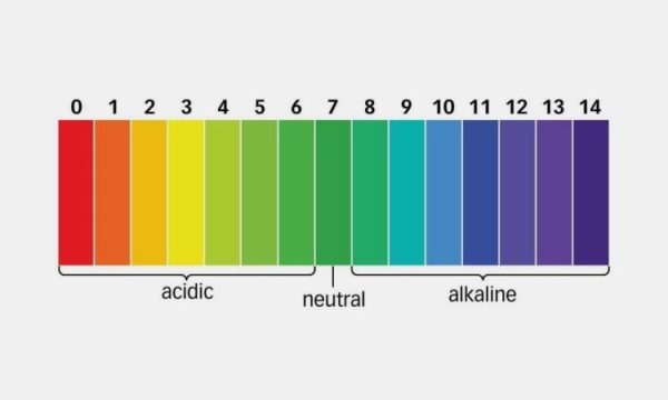 How To Make Softgels? – AIPAK
