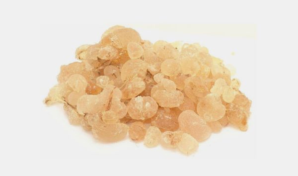 Gum Arabic: The Complete FAQ Guide In 2024 – AIPAK