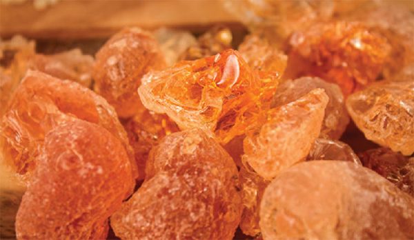 Gum Arabic: The Complete FAQ Guide In 2024 – AIPAK