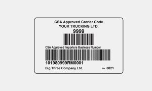 CSA Standard: The Complete FAQ Guide In 2025 – AIPAK