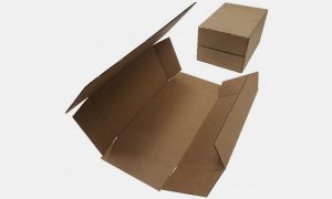 What Is The Difference Between Cartoning And Case Packing – AIPAK