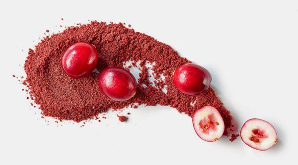 Flowability of Powder: What Do You Know Will Define the Process ...