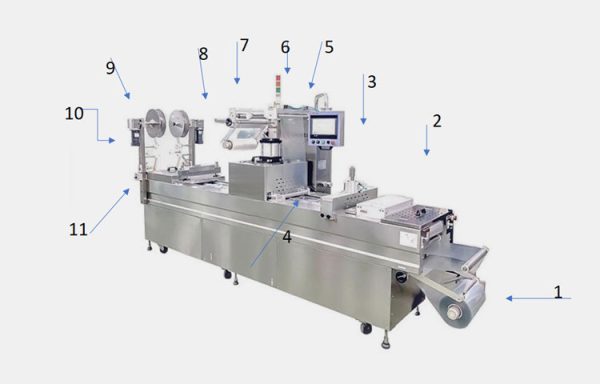 Thermoforming Blister Packaging Machine: A Complete Buying Guide in ...