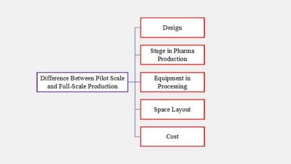 Choosing the Right Equipment for Pilot Scale vs Full-Scale Production ...